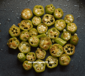 Okra Plant Grow Harvest Okra - Garden The Earth