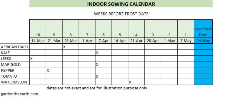 When To Plant Seeds/Indoor Seed Starting Guide - Garden The Earth